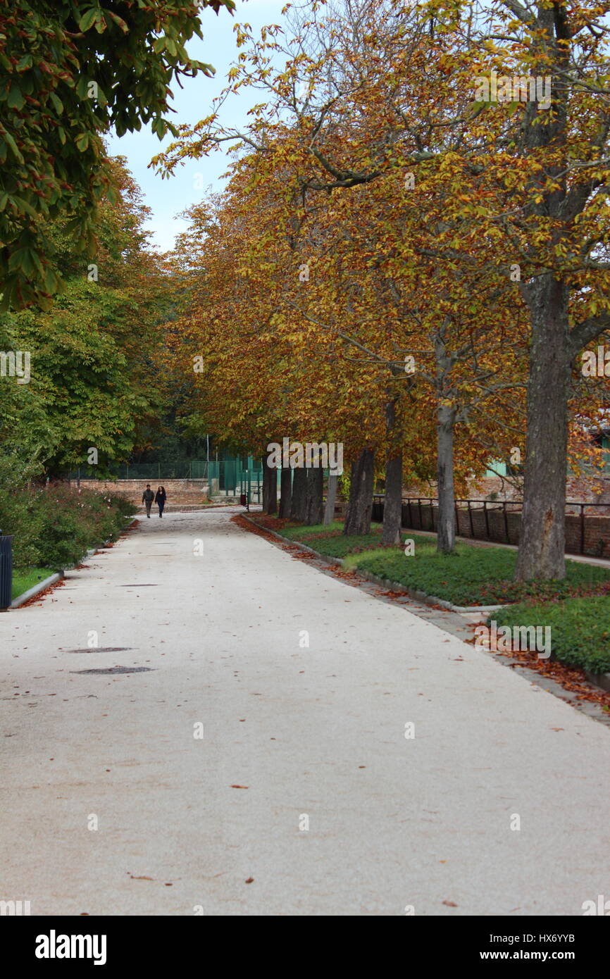 City park path view hi-res stock photography and images - Alamy