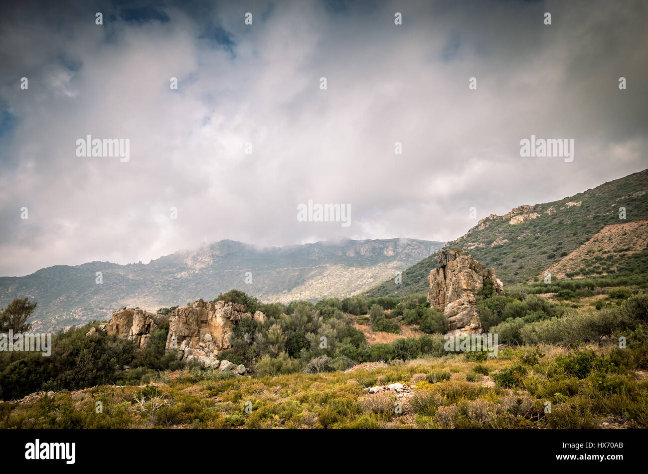Crete island, Greece. Cretan landscape with rocks and olive trees Stock ...