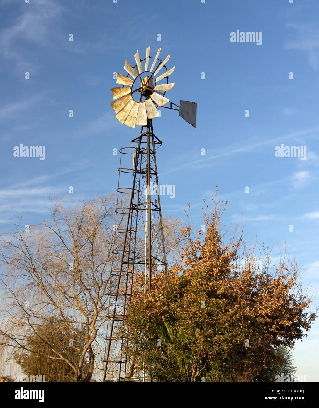 A tall windmill in a sunny day with some trees Stock Photo - Alamy