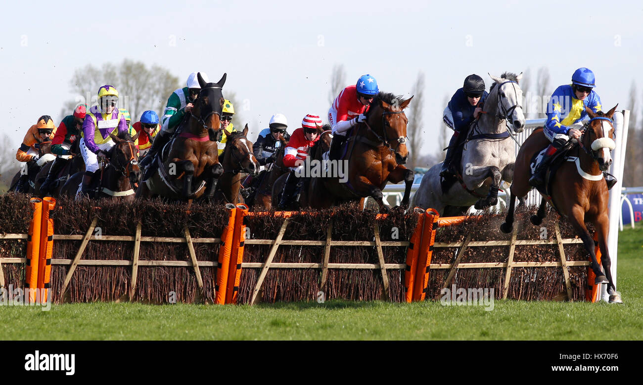 Snow leopardess and aidan coleman hi-res stock photography and images ...