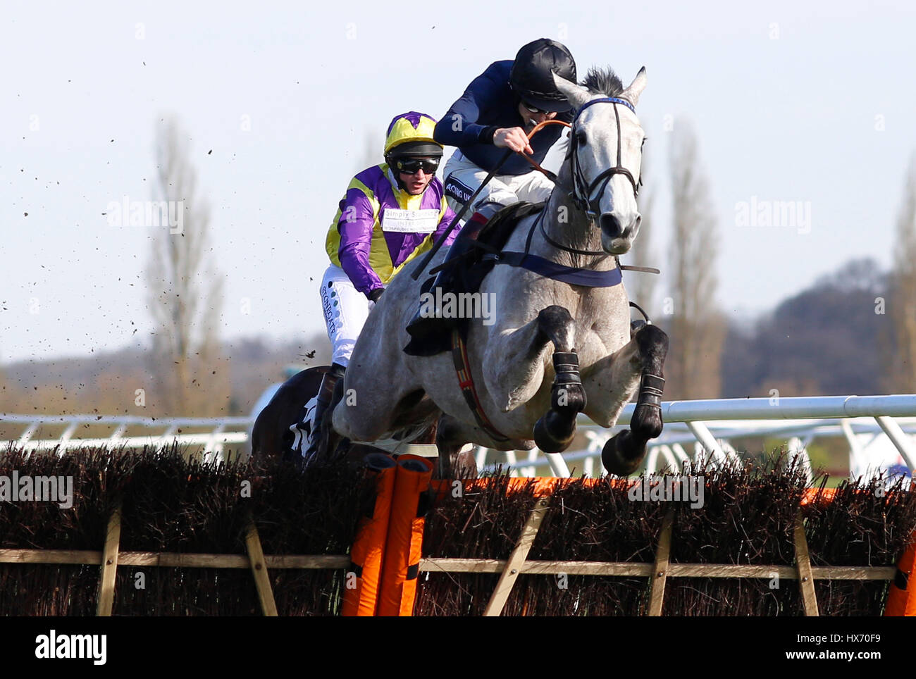 Snow leopardess and aidan coleman hi-res stock photography and images ...