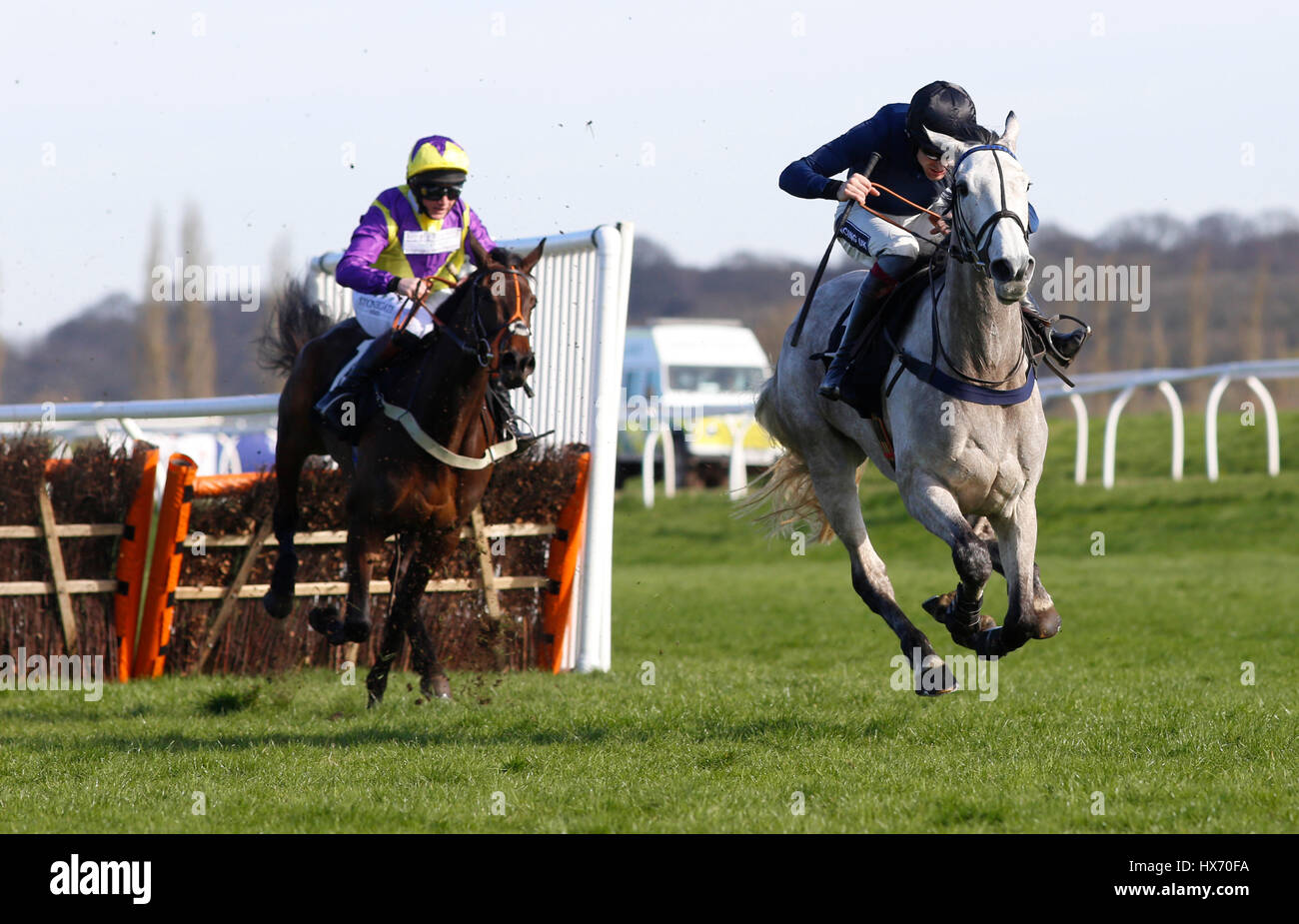 Snow leopardess horse hi-res stock photography and images - Alamy