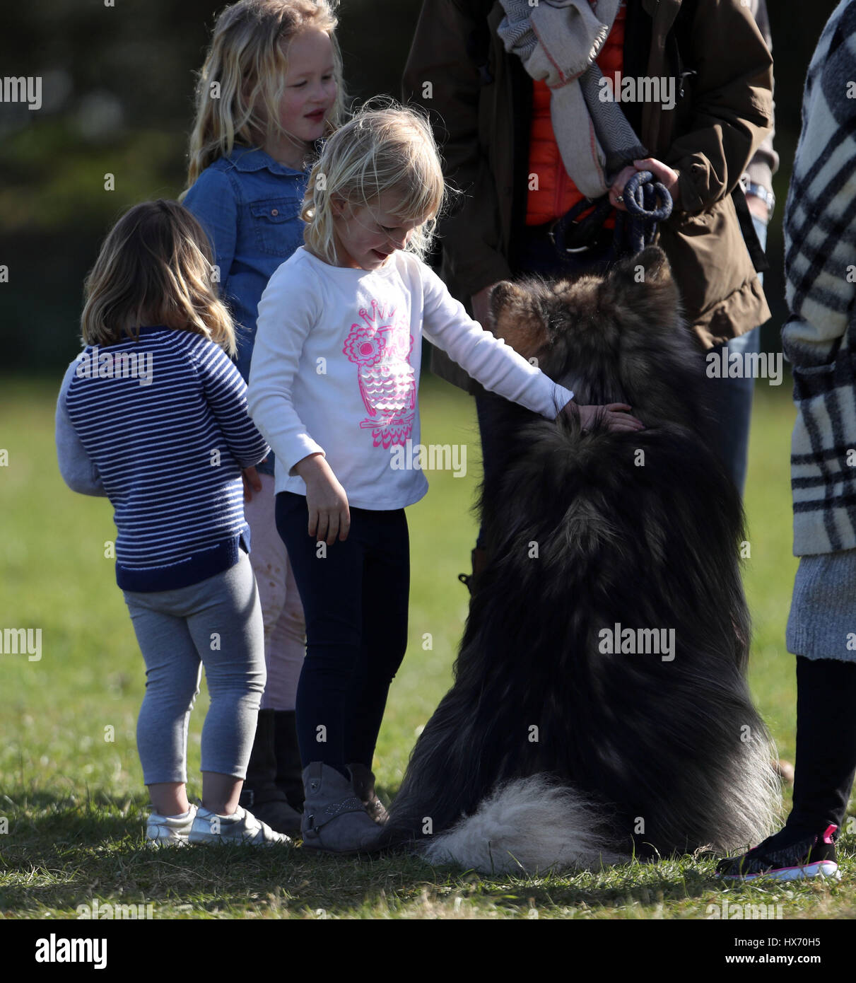 Dog Land Rover High Resolution Stock Photography and Images - Alamy