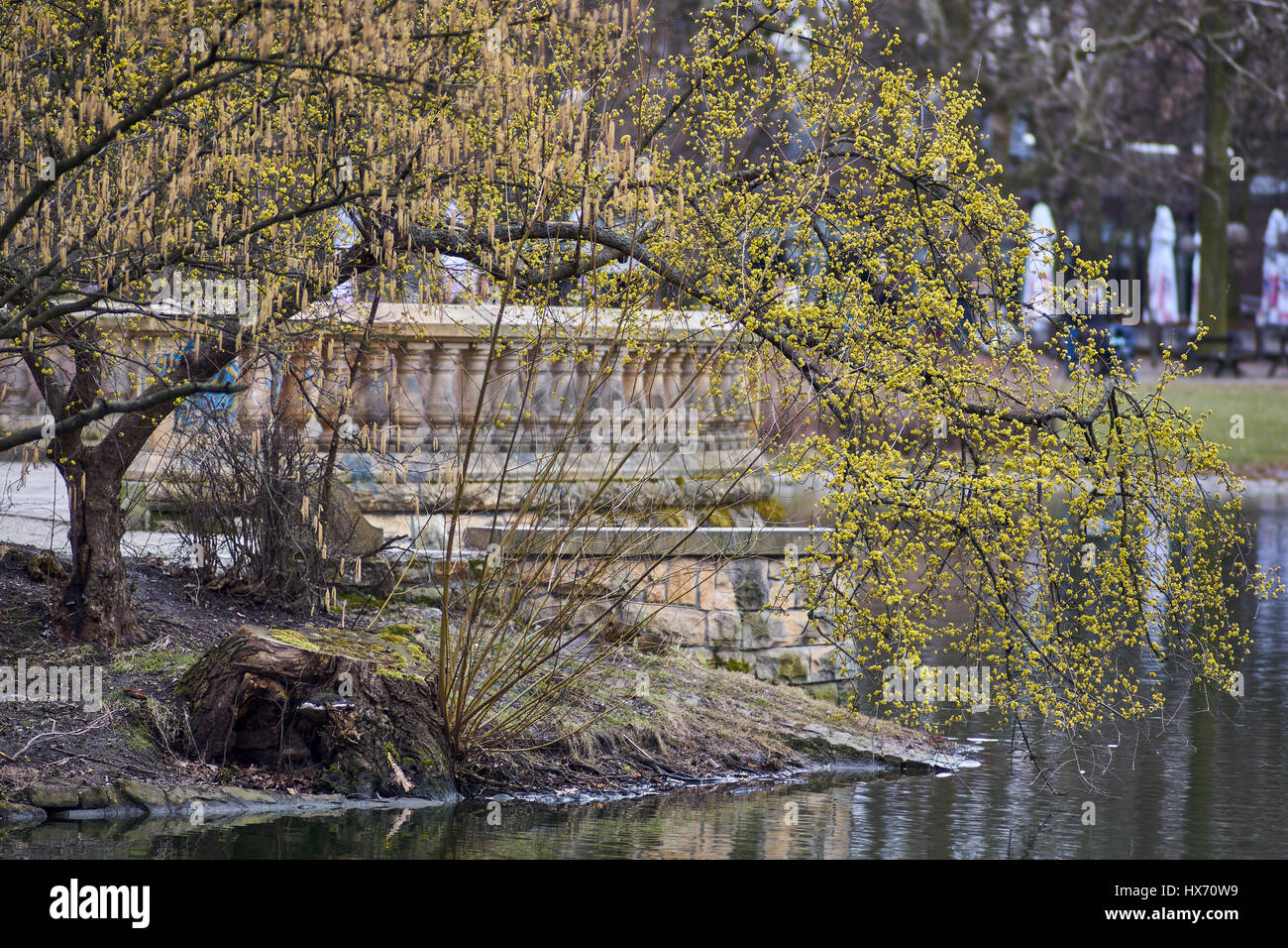 South Park Wroclaw in the early spring Stock Photo - Alamy