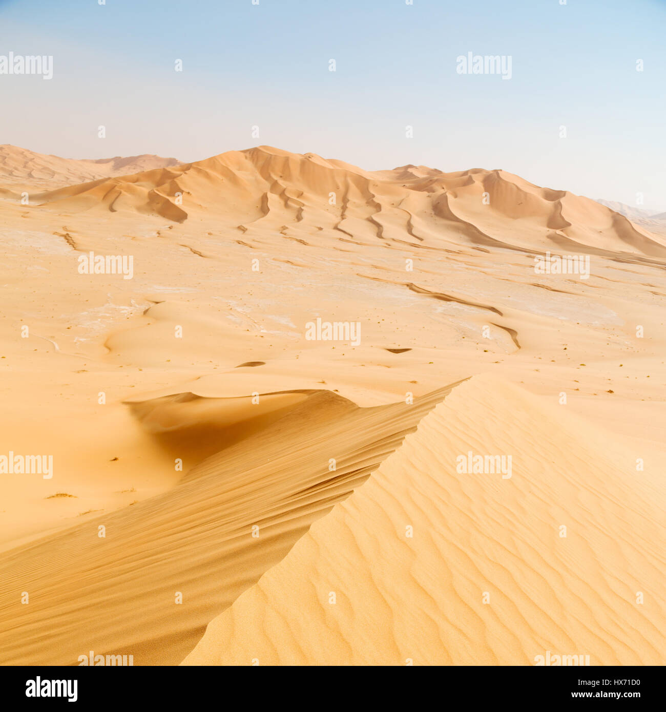 the empty quarter and outdoor sand dune in oman old desert rub al khali ...