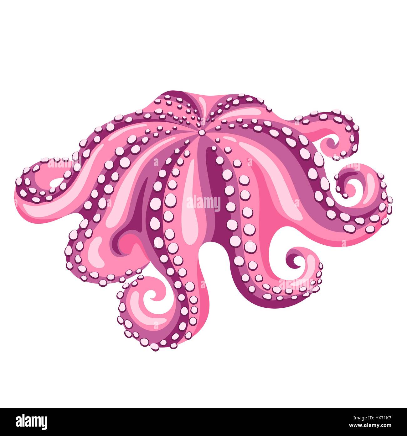 Cuttlefish Stock Vector Images - Alamy