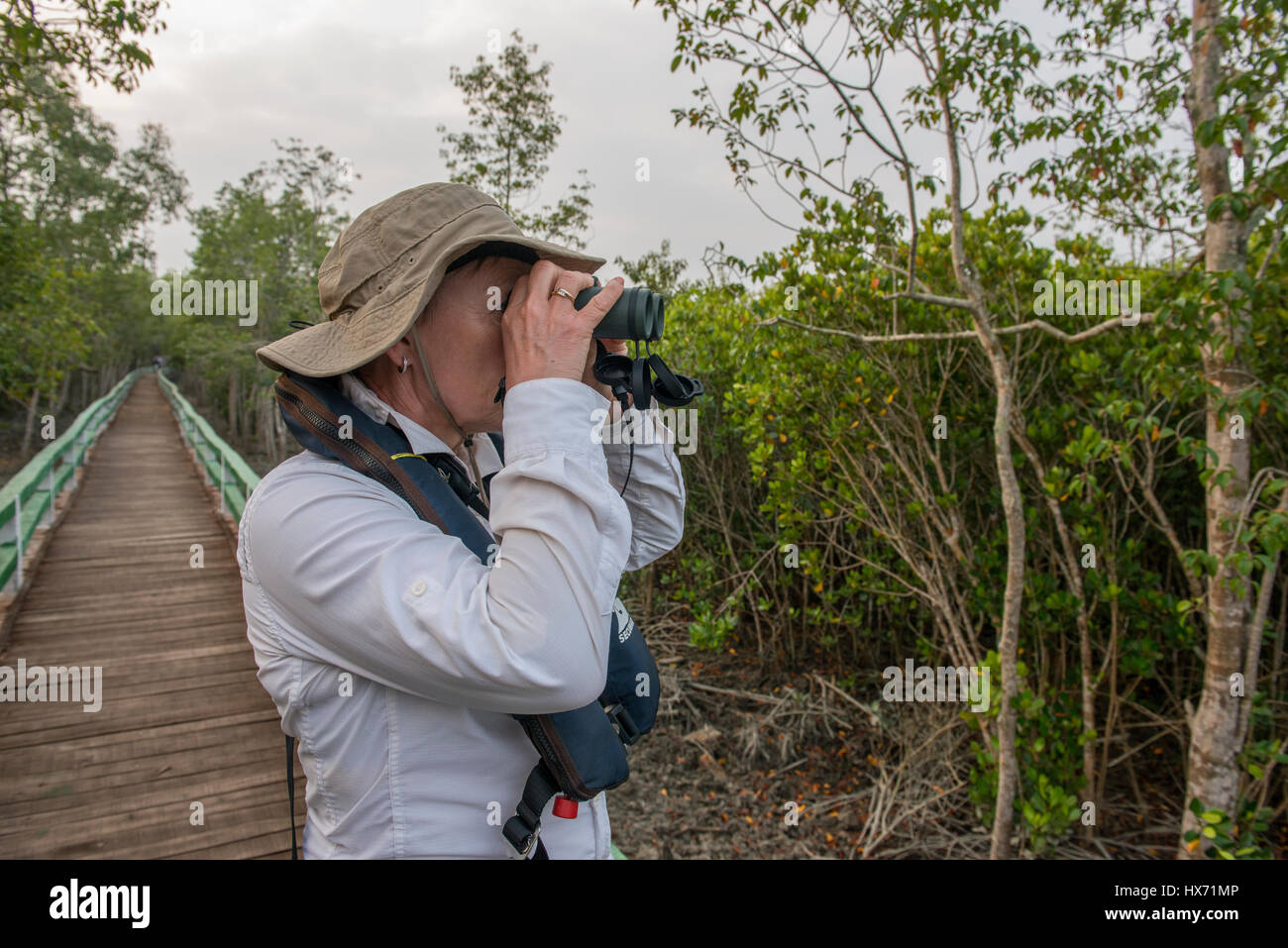 Bangladesh, The Sundarbans, the largest littoral mangrove forest in the ...