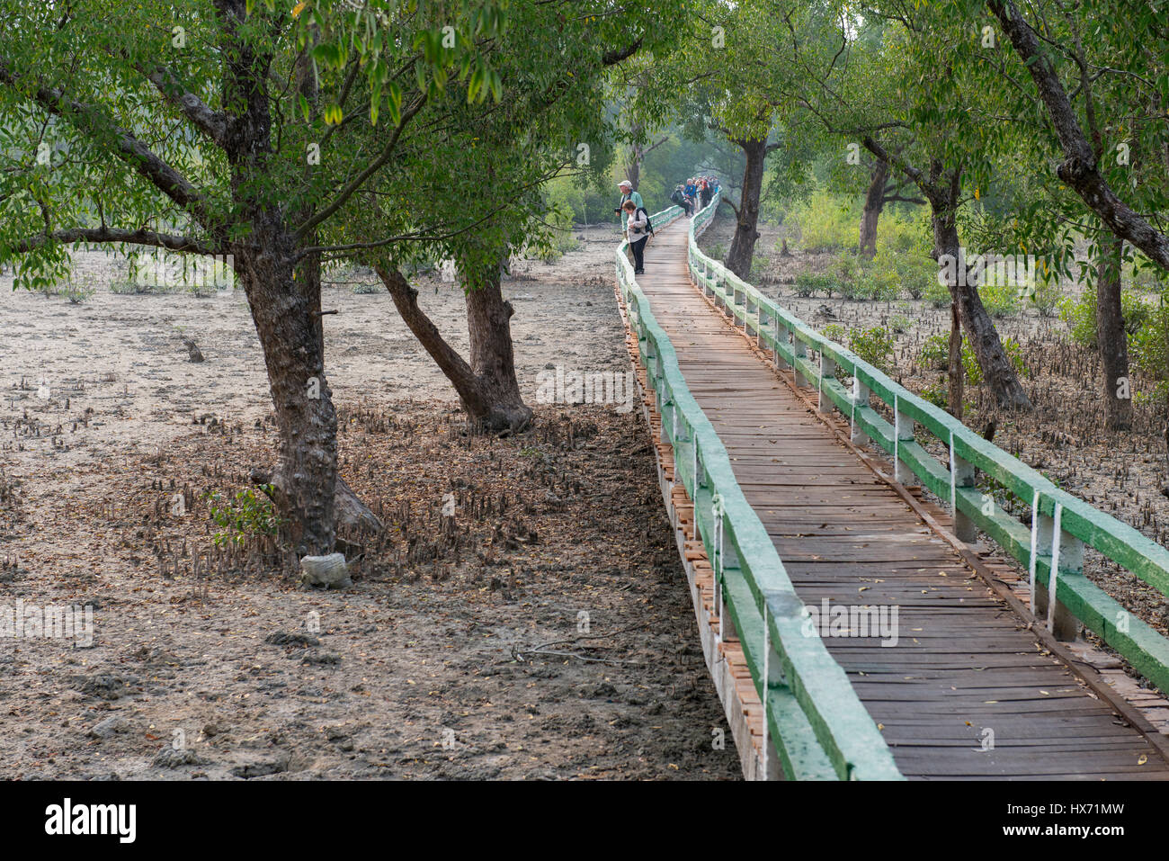 Bangladesh, The Sundarbans, the largest littoral mangrove forest in the ...