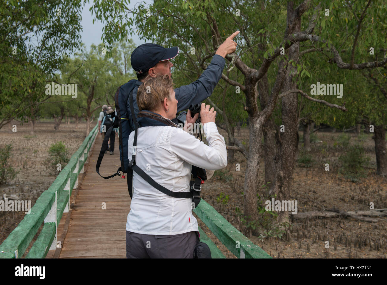 Bangladesh, The Sundarbans, the largest littoral mangrove forest in the ...