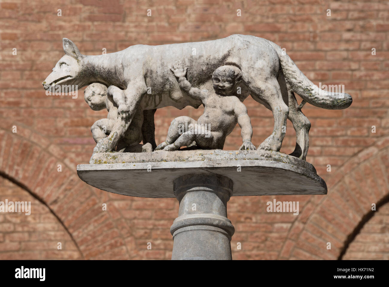 She-wolf with Romulus and Remus in front of the Duomo of Siena, Tuscany ...
