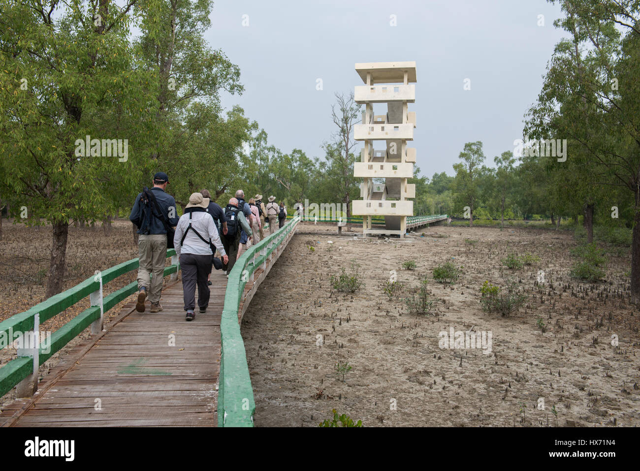 Bangladesh, The Sundarbans, the largest littoral mangrove forest in the ...