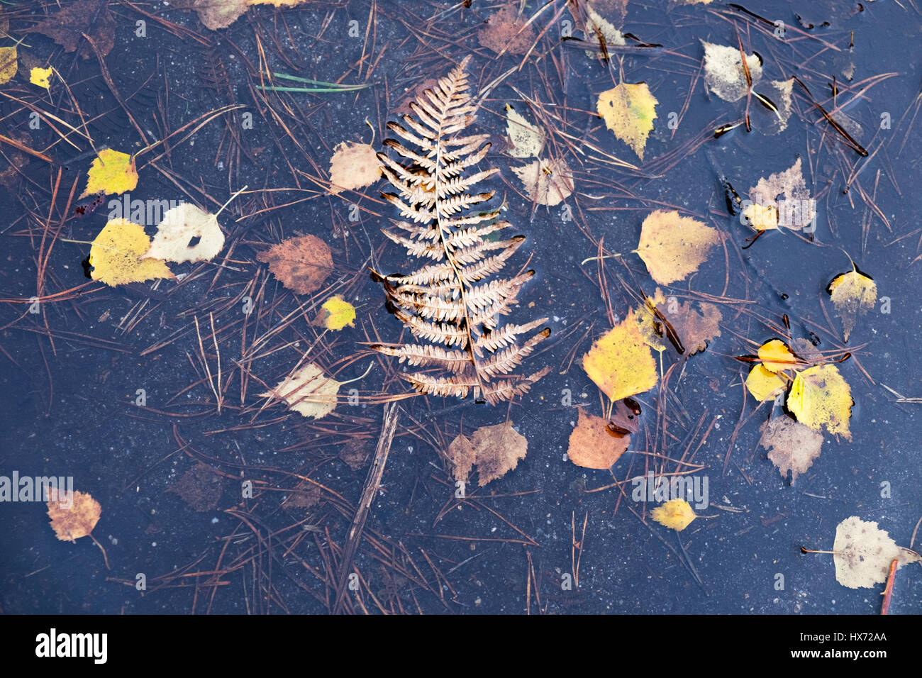 British seasons hi-res stock photography and images - Alamy