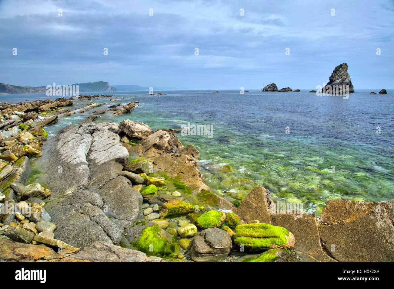 Low Tide on the Mupe Ledges Stock Photo - Alamy