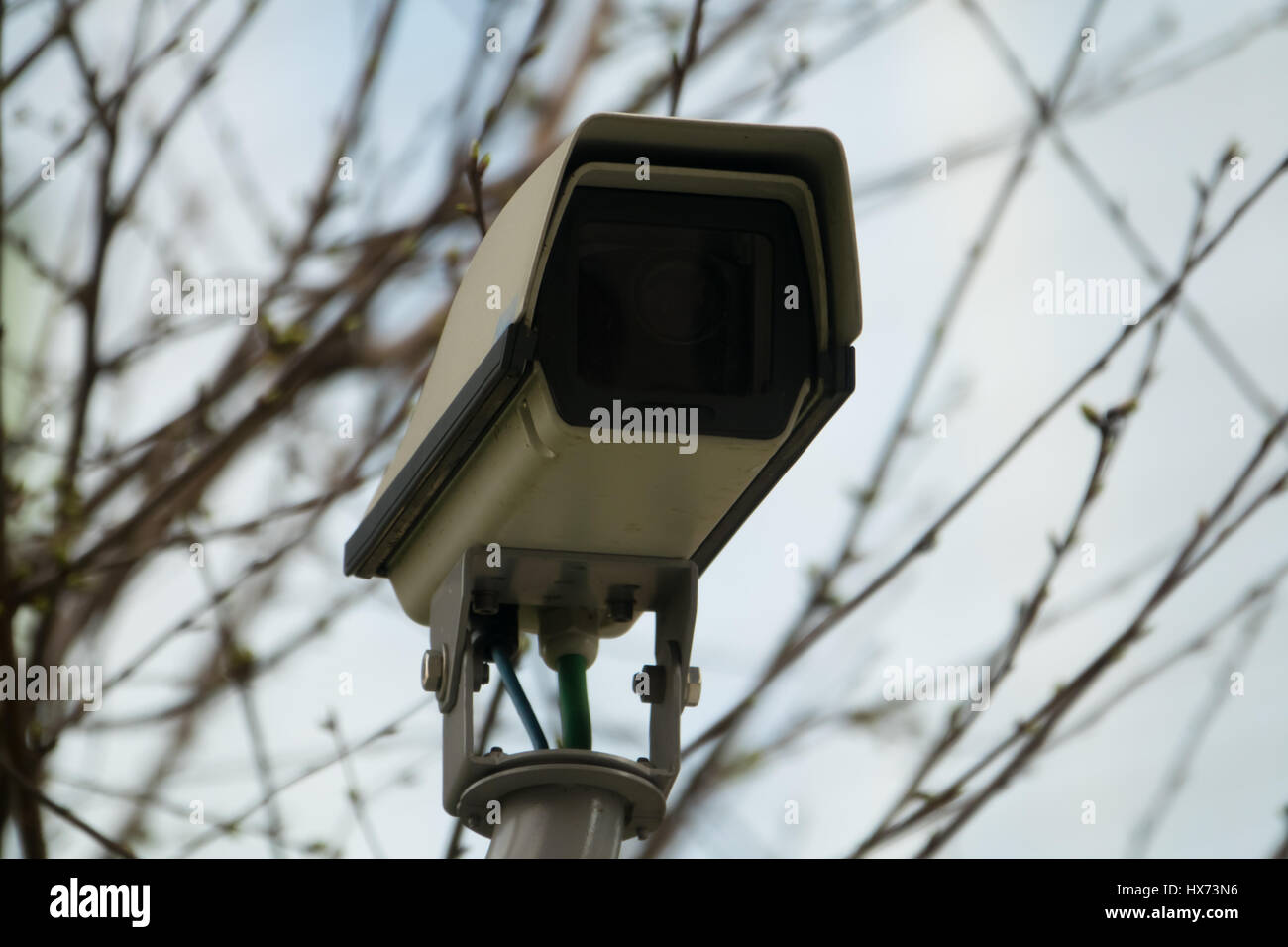 White CCTV installed on the tree Stock Photo - Alamy