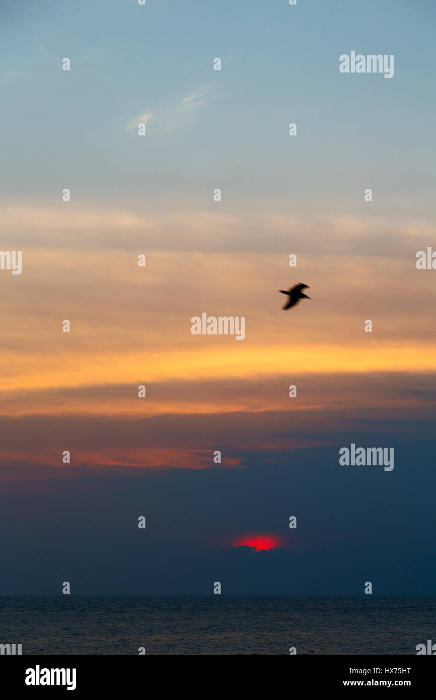 the blurred sun falling down arabian sea ocean in oman coastline Stock ...