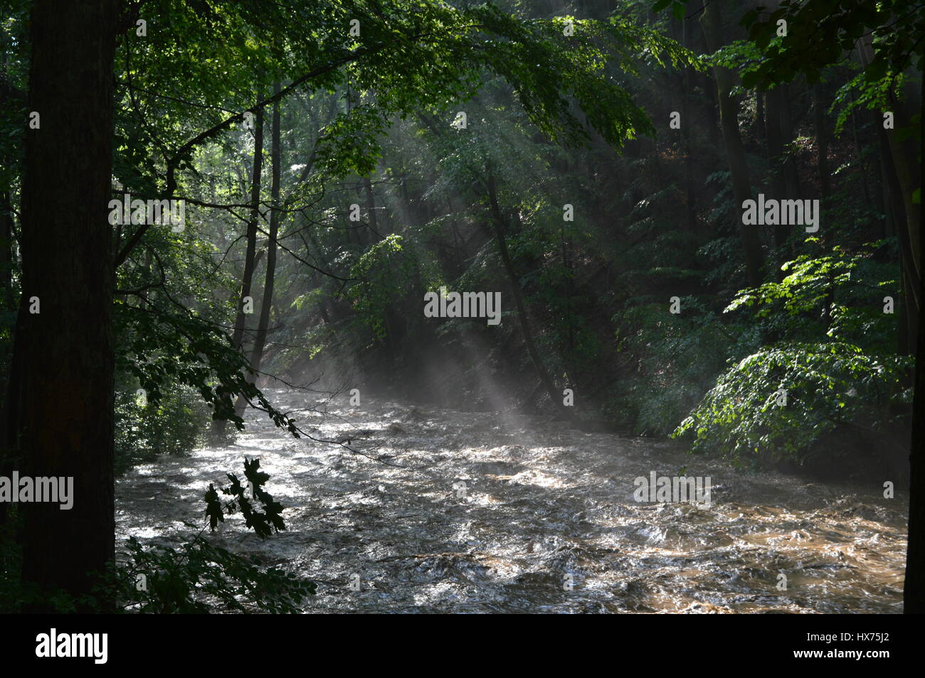 Wild River after rain fall Stock Photo - Alamy