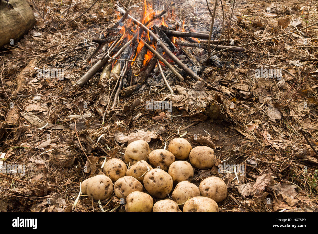 Fire roasted potatoes hi-res stock photography and images - Alamy