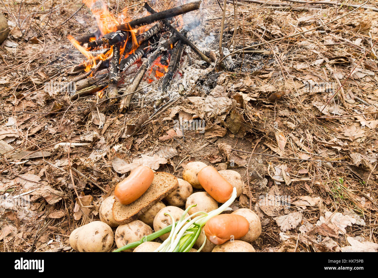 Food cooking on the fire. Barbecue, fire, wood Stock Photo - Alamy