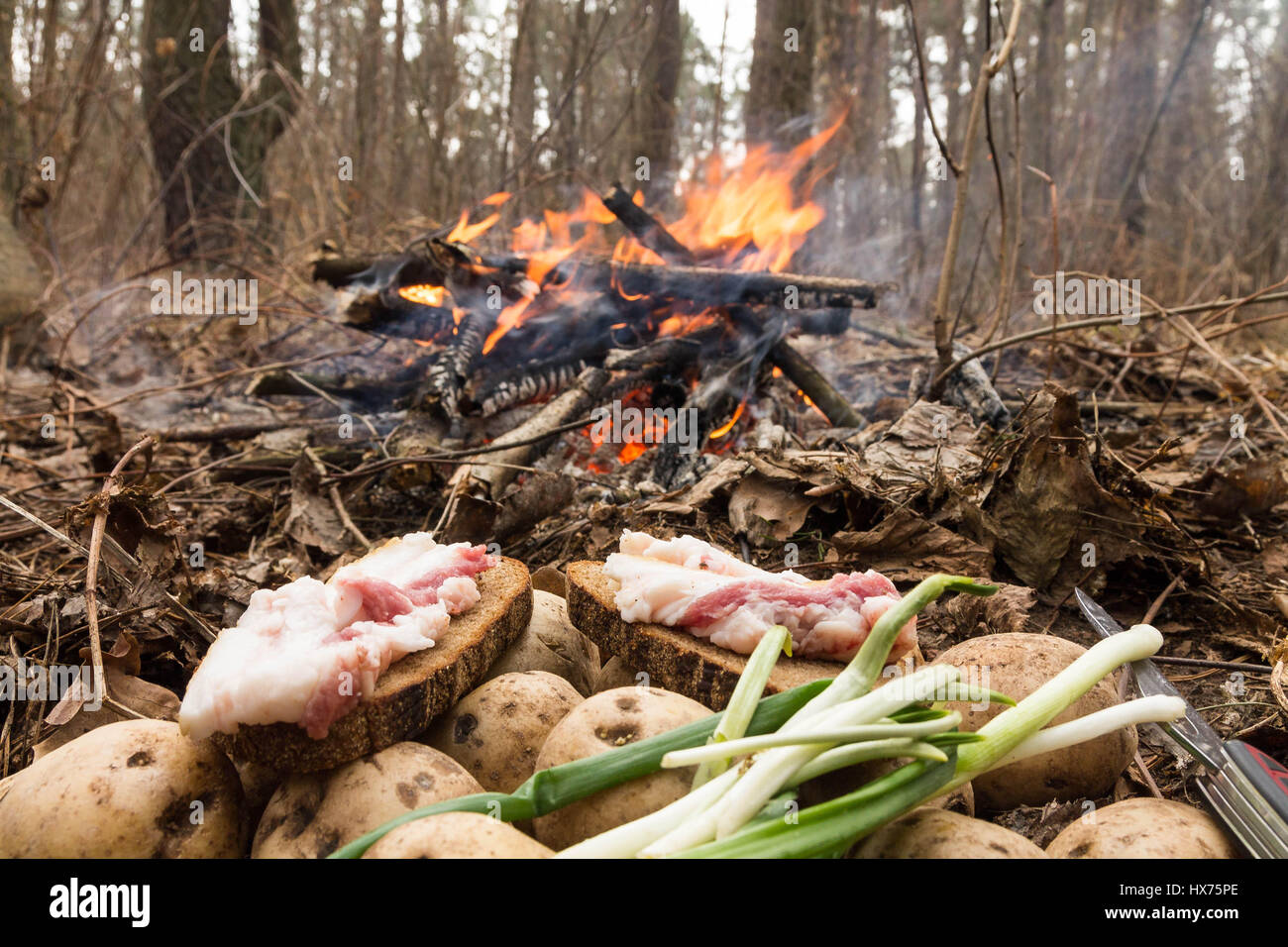 Making toast, bacon, onion, forest fires. Barbecue Stock Photo - Alamy