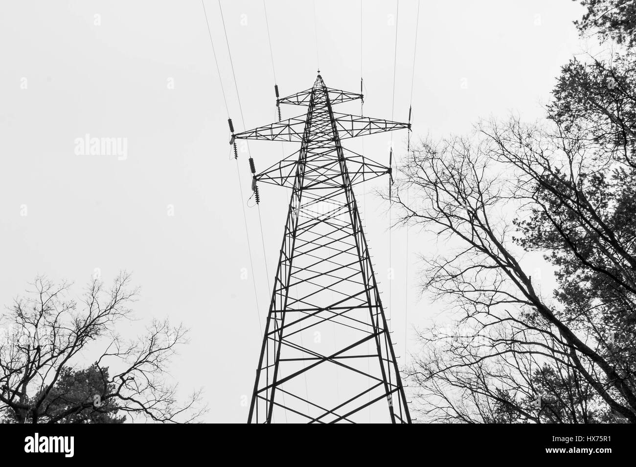 Black and white. High pole mains. Electricity. High voltage network ...