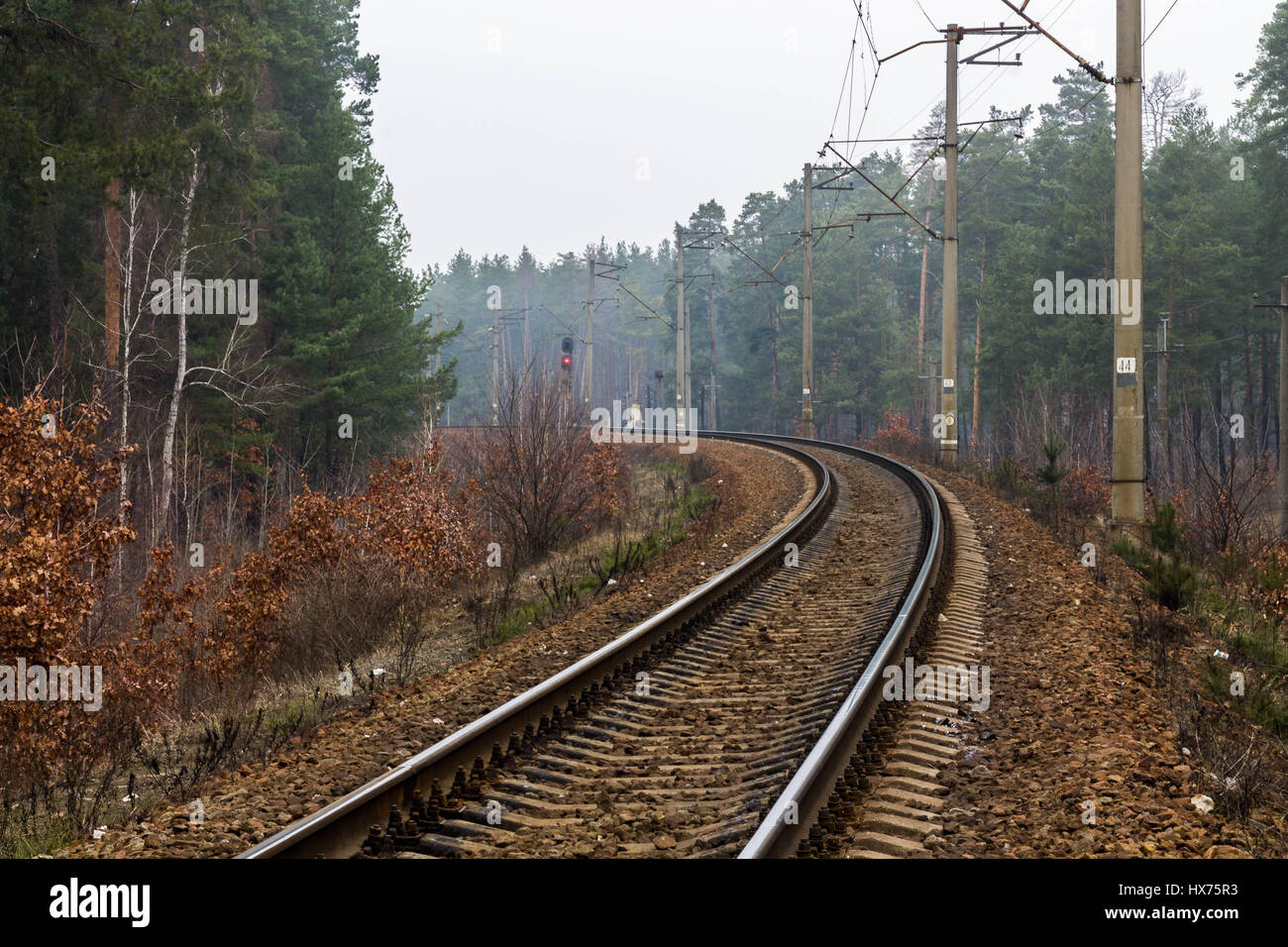 Tracks turn left. Railway track in the forest Stock Photo - Alamy