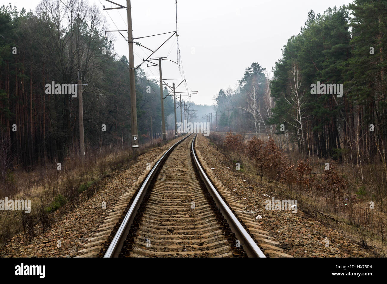Railway track in the forest. The road leading deep into the forest ...