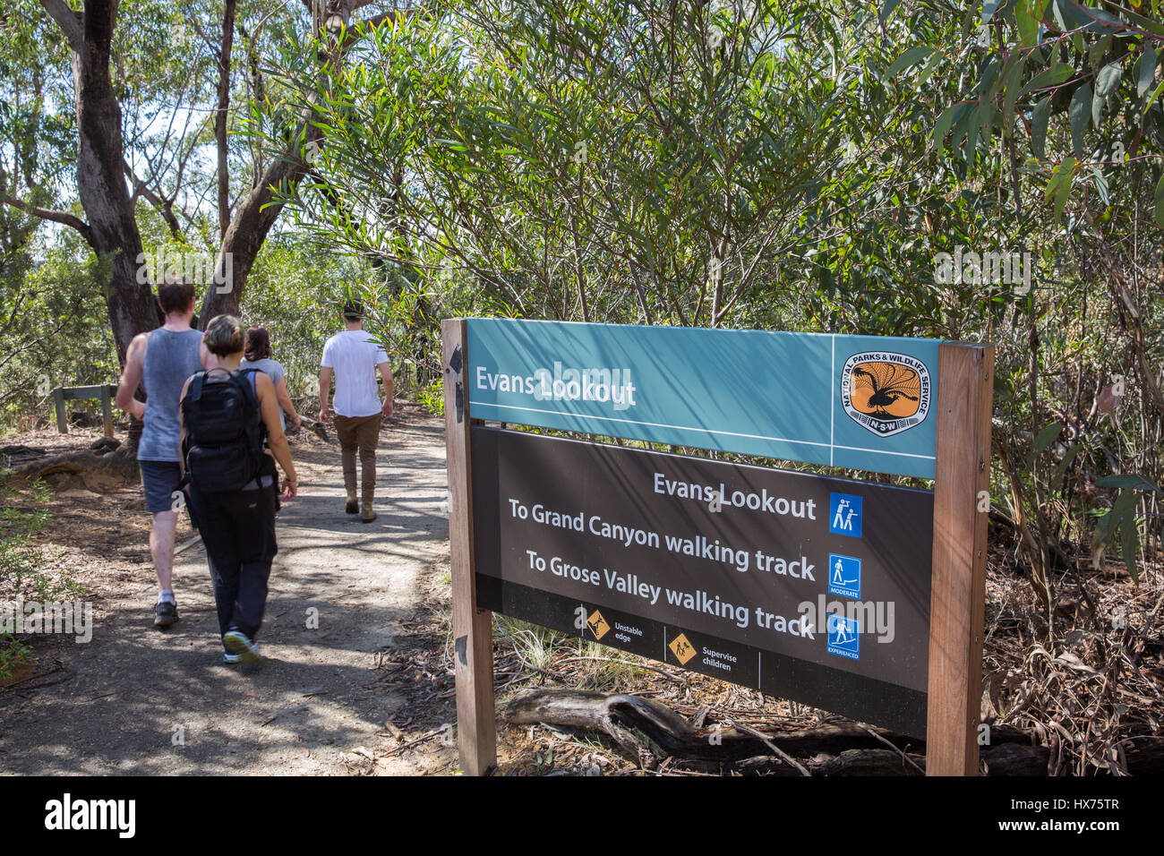 Hikers walkers in the Blue Mountains at Evans lookout and walking ...