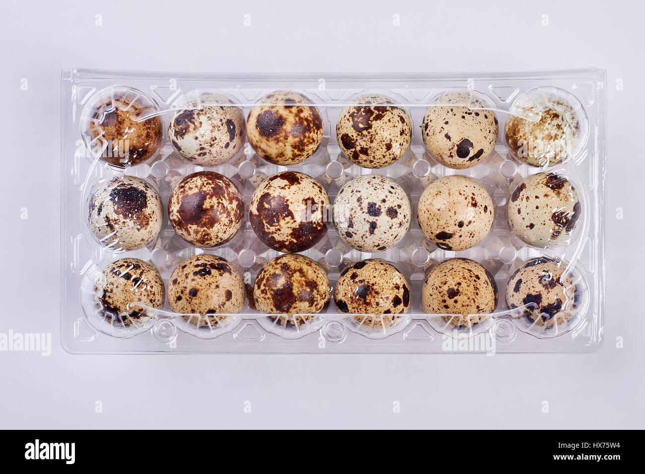 Quail eggs tray, top view Stock Photo - Alamy