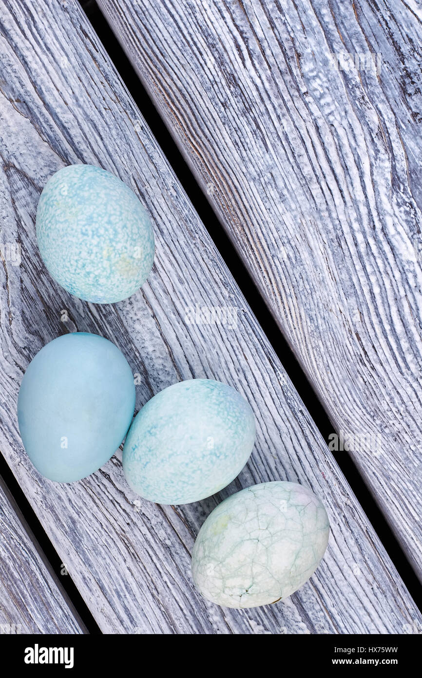 Some blue eggs Stock Photo - Alamy