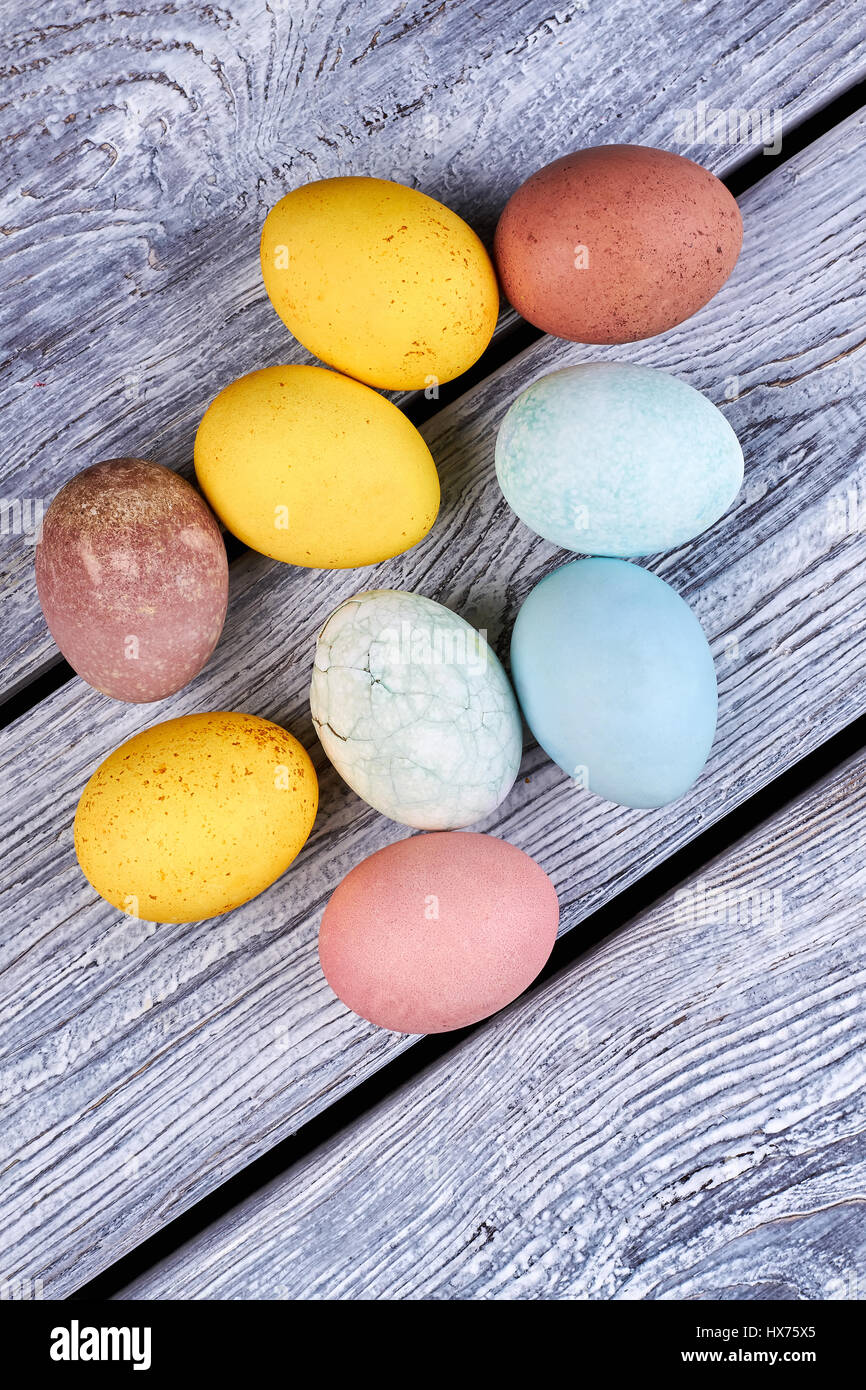 Group of colorful eggs Stock Photo - Alamy