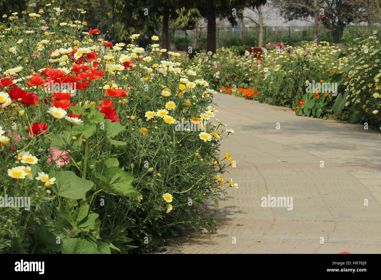 Japanese gardens flowers hi-res stock photography and images - Alamy