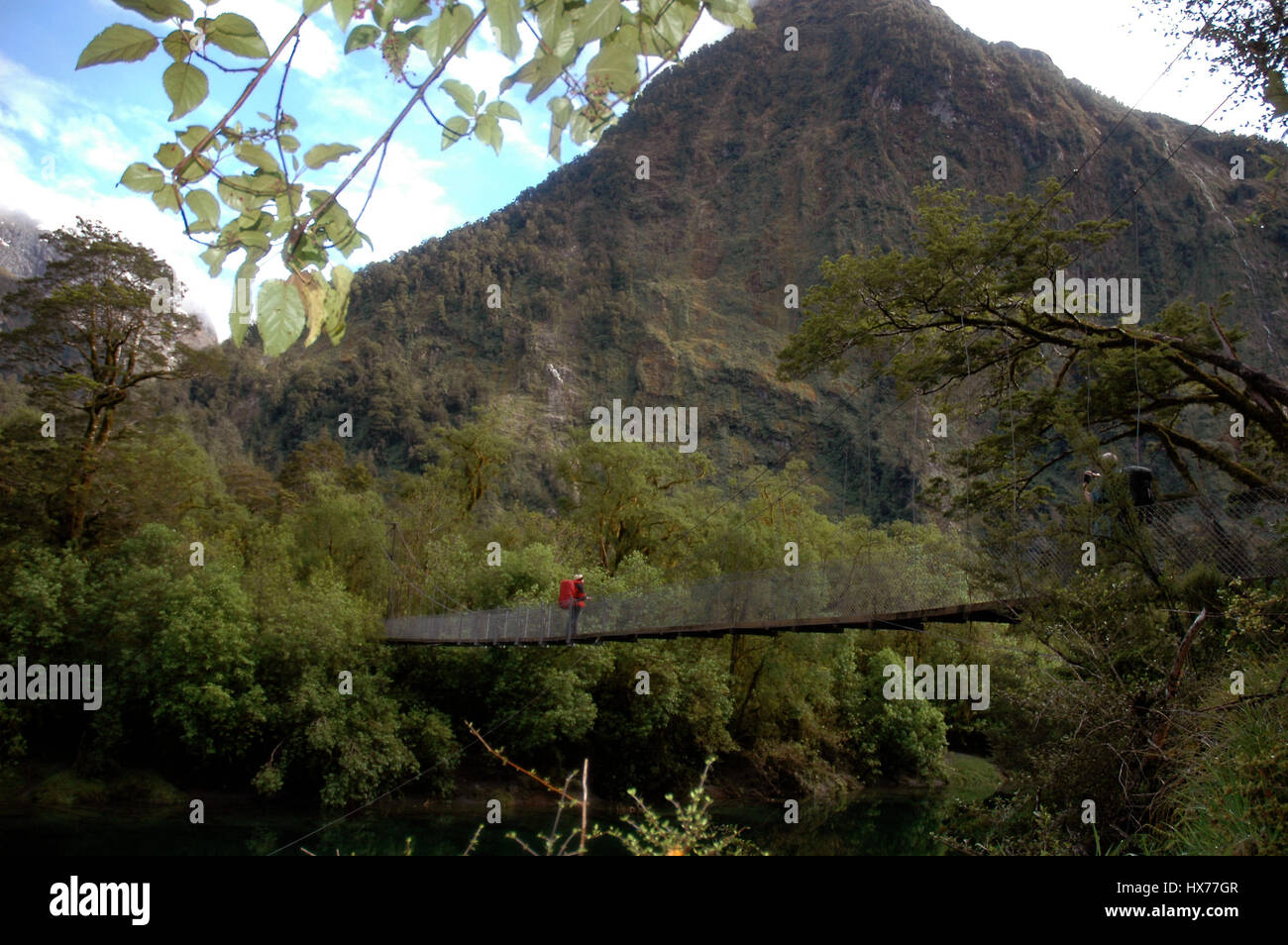A hiker standing on a suspension bridge at the Milford Track Stock ...