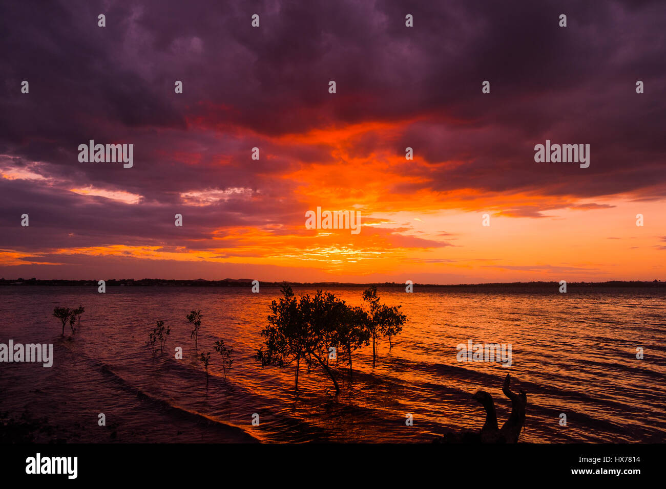 Wellington Point, QLD Stock Photo - Alamy