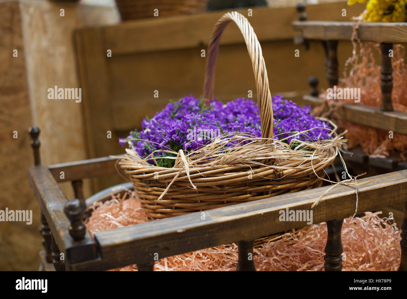 basket with violet blue flowers spring Stock Photo - Alamy