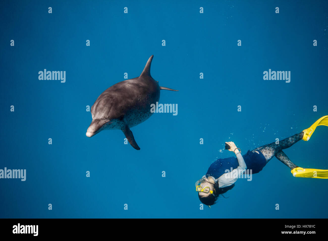 Human animal interaction hi-res stock photography and images - Alamy