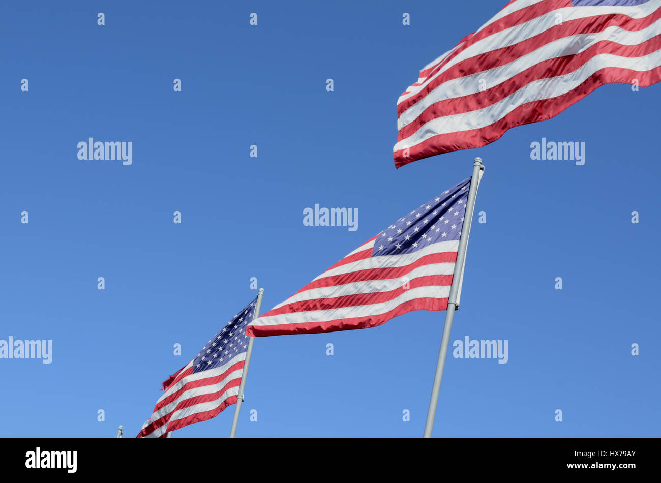 American flags waving in the wind Stock Photo - Alamy
