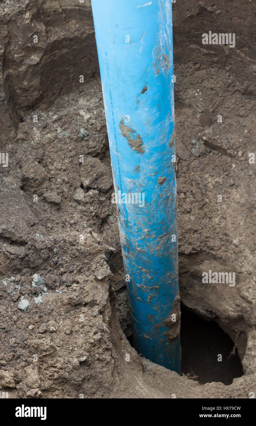 From the land of sticking the blue tube Stock Photo - Alamy