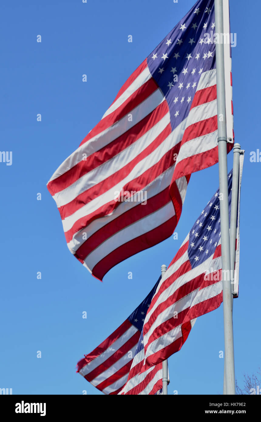 Row american flags on poles hi-res stock photography and images - Alamy