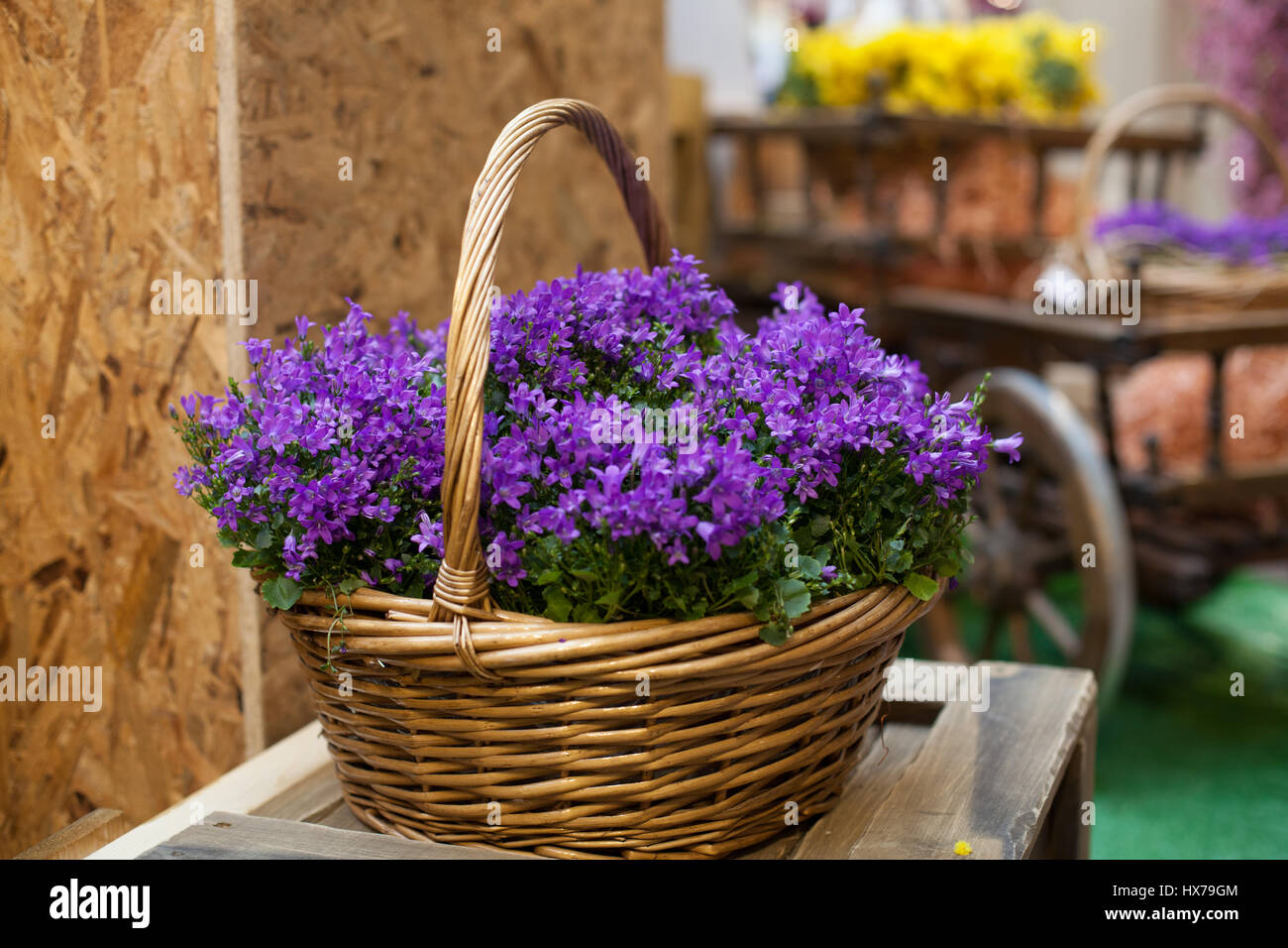 basket with violet blue flowers spring Stock Photo - Alamy