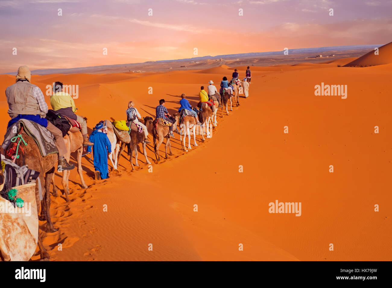 Camel caravan going through the sand dunes in the Sahara Desert, Morocco Stock Photo - Alamy