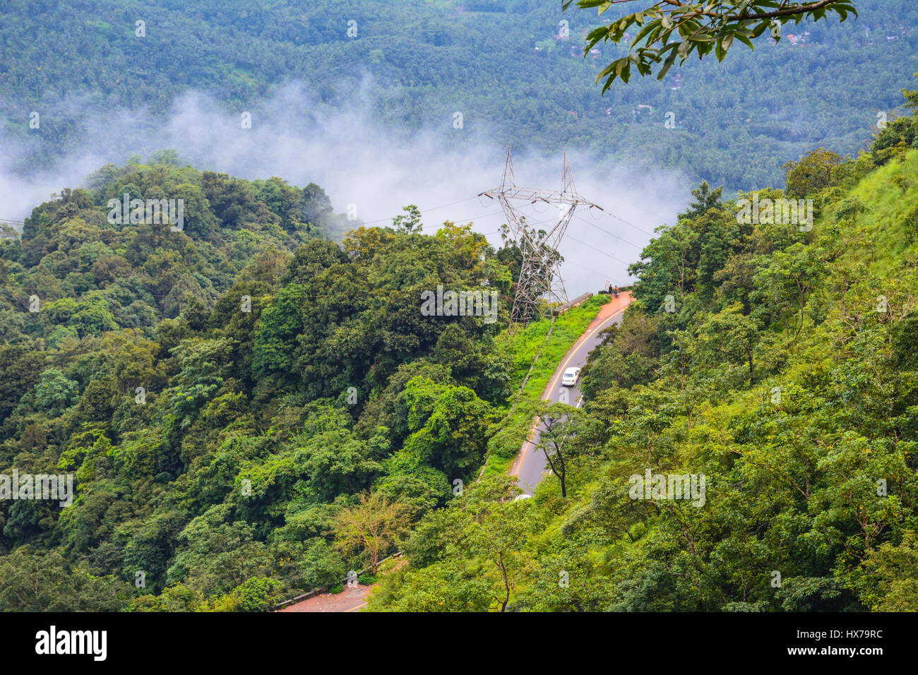 Wayanad forest hi-res stock photography and images - Alamy