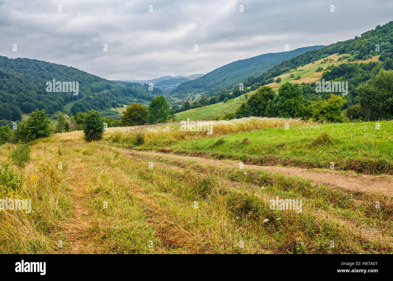 beautiful countryside landscape. path through rural field near the ...