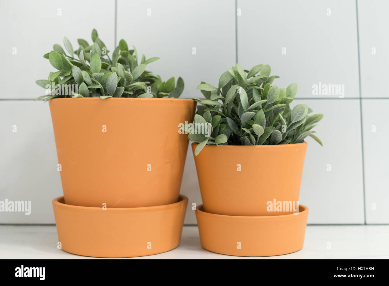 Fake artificial pot plant indoor made by clay Stock Photo - Alamy