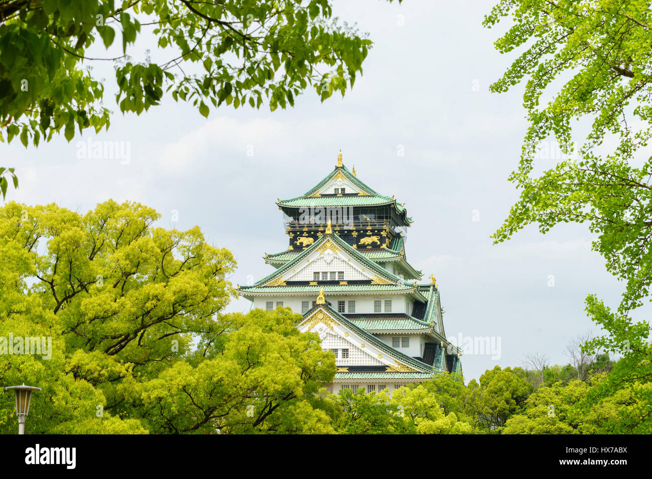 The famous Osaka Castle shot in spring Stock Photo - Alamy