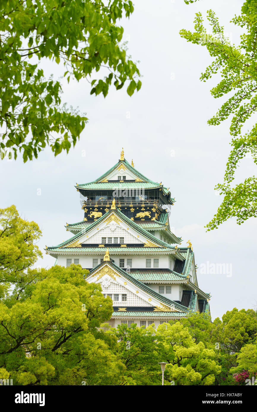 The famous Osaka Castle shot in spring Stock Photo - Alamy