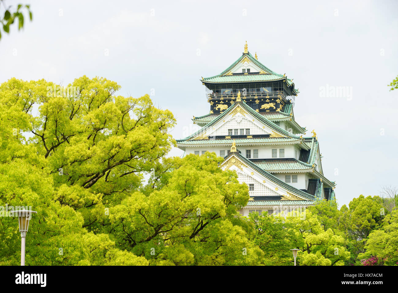 The famous Osaka Castle shot in spring Stock Photo - Alamy