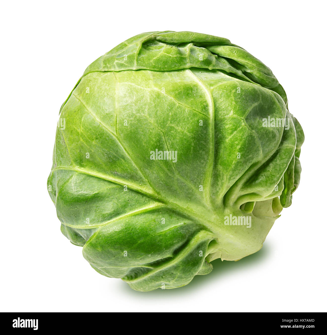 Brussels sprouts isolated on white background Stock Photo - Alamy
