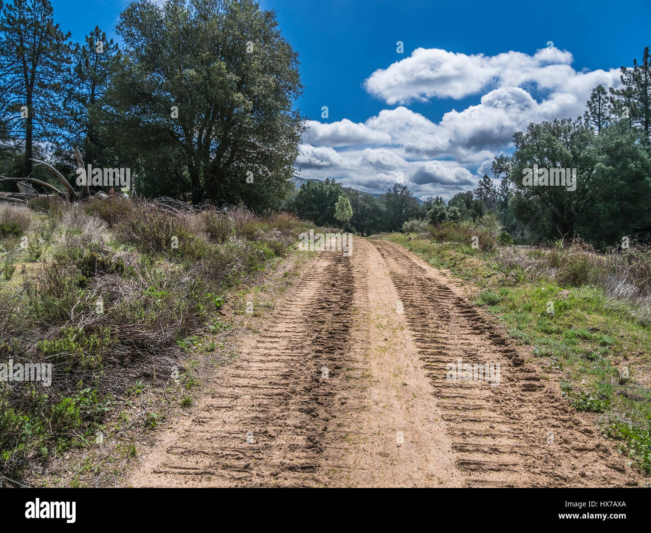 heavy equipment tread tracks on fire road in cuyamaca state park Stock ...