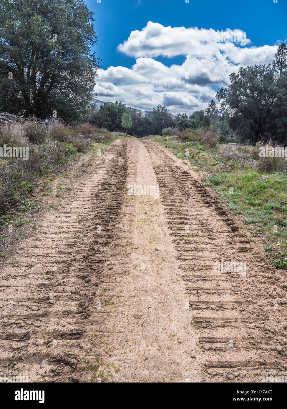 heavy equipment tread tracks on fire road in cuyamaca state park Stock ...