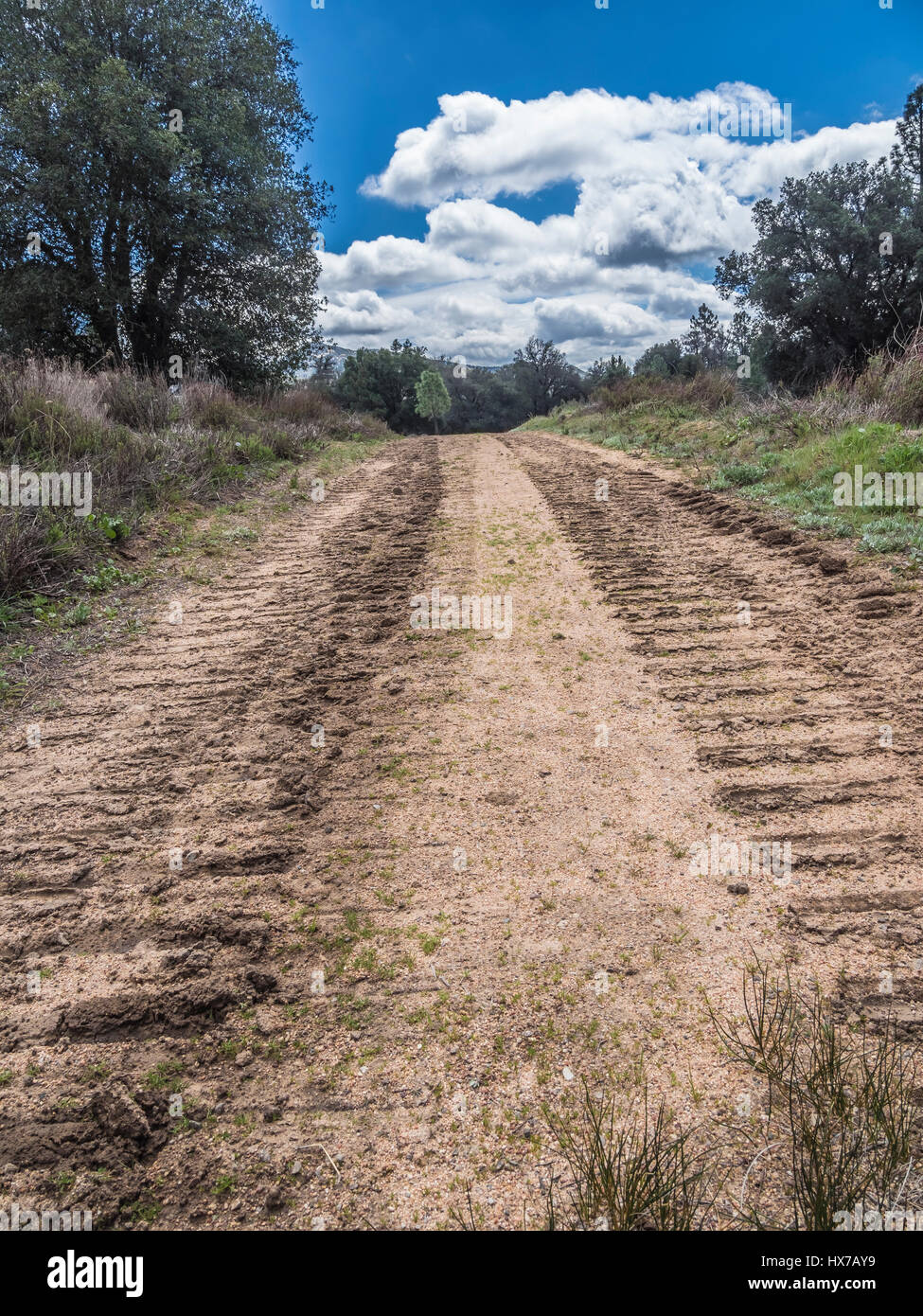 heavy equipment tread tracks on fire road in cuyamaca state park Stock ...